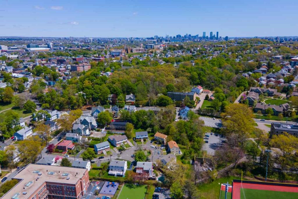 Brighton Recreation Cannabis Dispensary | Pure Oasis