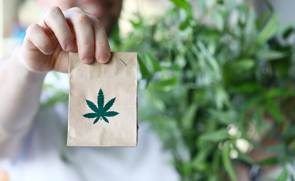 Your Winter Survival Guide to Boston’s Best Weed Snacks - Pure Oasis